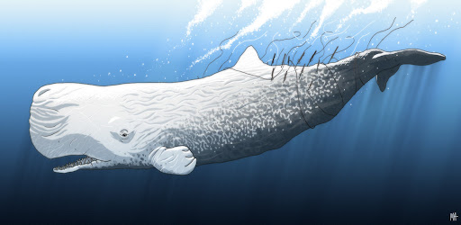 KeyboardAwareScrollView | Mobydick